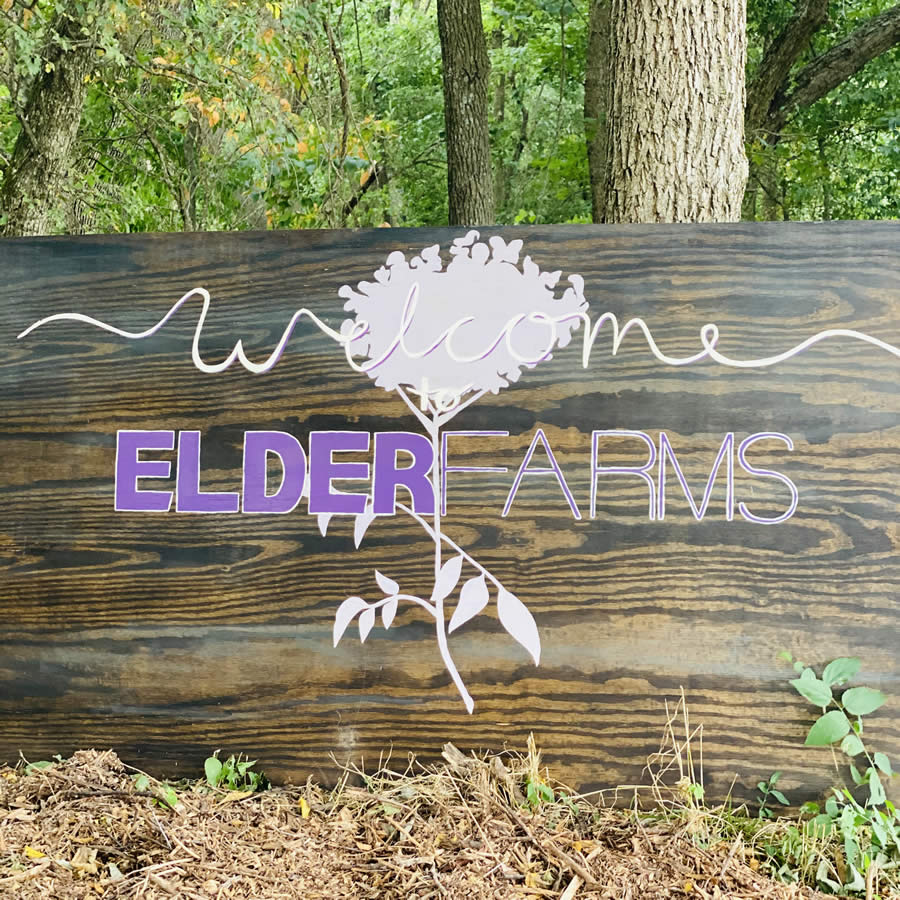 MaMa Visits Elder Farms - Mama Jeans Natural Market - Springfield, MO